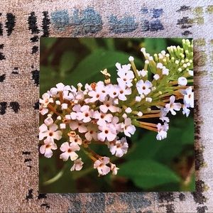 Other | Wall Photo Tiles | Poshmark